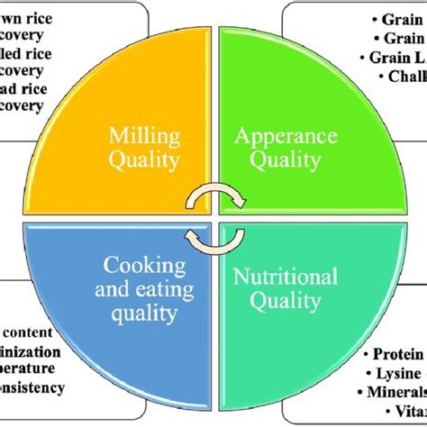 Important Parameters Of Rice Grain Quality Download Scientific Diagram