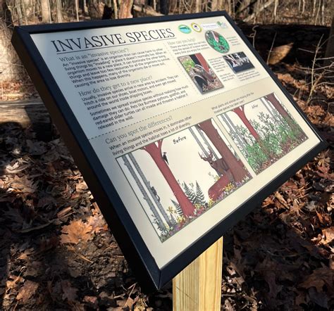 New Invasive Species Sign At Swift Creek Bluffs South Wake Conservationists