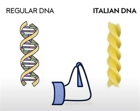 Latest Memes New Memes Memedroid