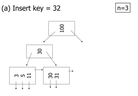 03 Indexing With Tree Structures Flashcards Quizlet