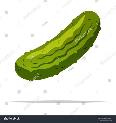Pickled Cucumber Vector Isolated Illustration Stock Vector Royalty Free 2469945551 Shutterstock