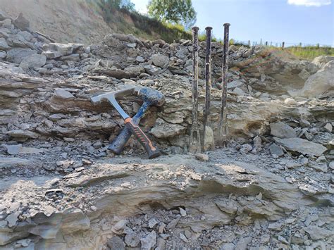 Fossils Iowa Fossils Iowa Added A New Photo — In Johnson