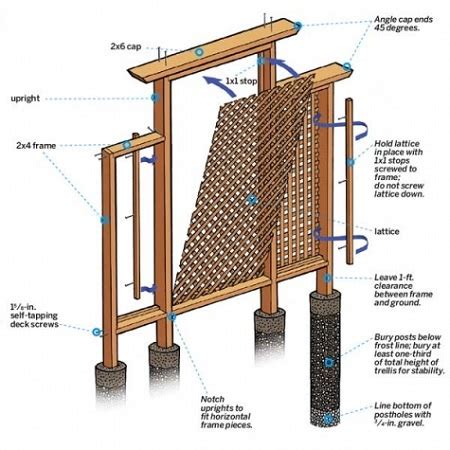 How To Build A DIY Trellis Gardening Viral