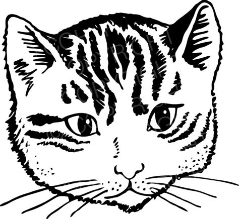 Cat Face Clip Art Black And White 19 Free Cliparts Download Images On