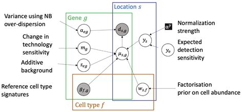 Deconvolution Of Spatial Transcriptomics Using Scrna Seq