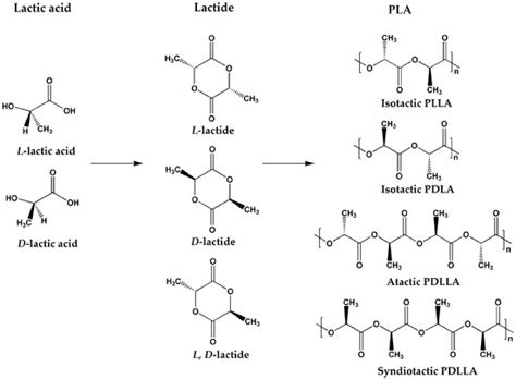 Modified Biomass Reinforced Polylactic Acid Composites