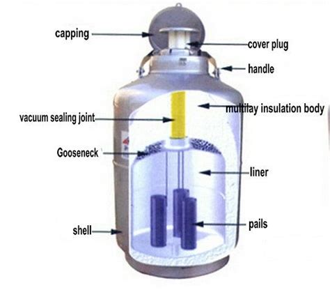 Is Liquid Nitrogen Bad For The Environment At Robin Clark Blog