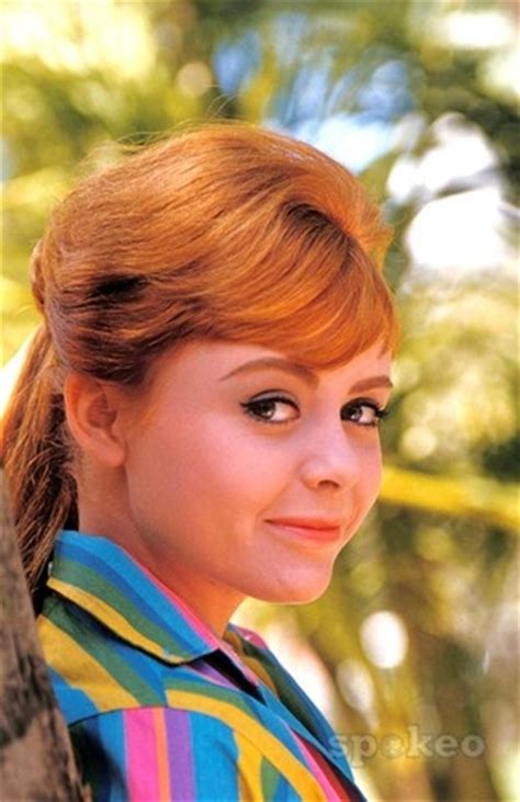 Deborah Walley Gidget Movie Gidget Goes Hawaiian Classic Movie Stars