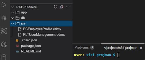 Import SAP SuccessFactors OData Services Definitions SAP Tutorials