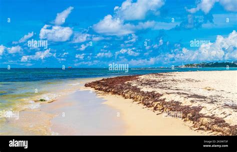 Tropical Mexican Beach Landscape Panorama With Clear Turquoise Blue