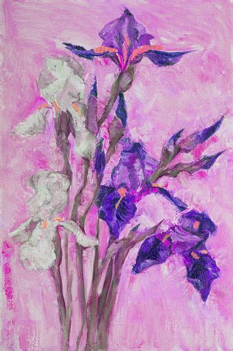 유행 삽화 현대 미술 비유 꽃 유화 캔버스 인상파 수직 봄 저녁 풍경 밝은 보라색과 흰색 홍채 꽃 긴 줄기 하늘의 분홍색 배경에 태양의 빛에 의해 조명 그들의 싹 꽃 식물에