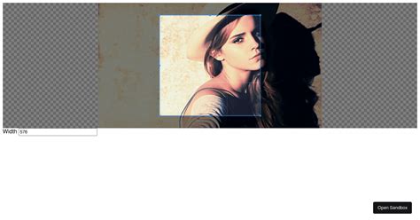 Cropper Input Width Example Codesandbox
