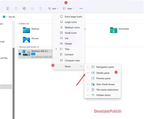 How To Show Of Hide Details Pane In Windows 11 File Explorer
