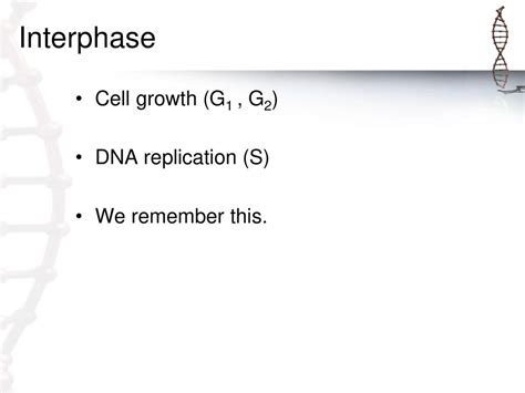 Warm Up 127 2815 Draw Anaphase Ppt Download