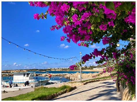 A Guide To Coral Bay Beach And Laourou Beach Coral Bay Cyprus Between