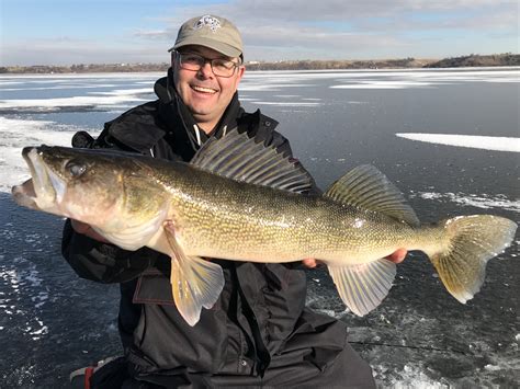 What Is A Walleye At Michael Kennelly Blog