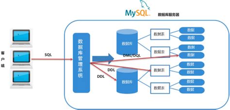 Mysql概念及idea连接数据库管理系统语法分类ddl，dml，dql，聚合函数，分组查询，约束，表关系idea和数据库的链接名可以是关键