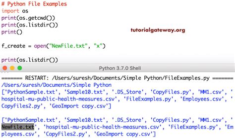 Python File Handling