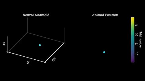 Generativeai Machinelearning Neuralnetwork Llm Aitools Ainews Ai Tools