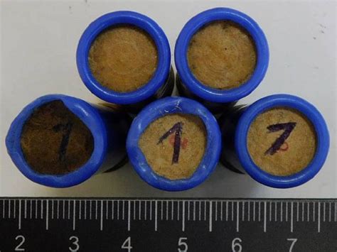 Витебские эксперты баллисты исследовали целый арсенал оружия изъятого у жителя Городокского