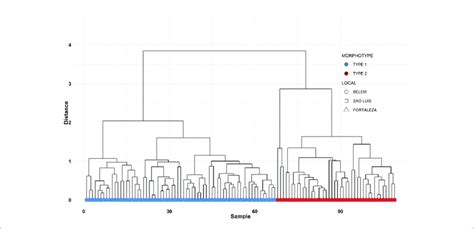 Dendrogram From The Clustering Analysis Showing The Two Principal Download Scientific Diagram