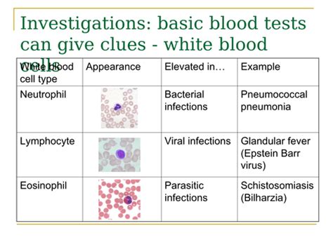 Lecture 19 Introduction To Infection Part 3 Flashcards Quizlet