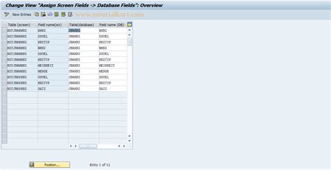 RCC11 SAP Tcode RO Control Assign DB Screen Transaction Code