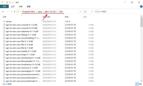 IDEA 配置Java opecv 以及 maven 岁月飞扬 博客园