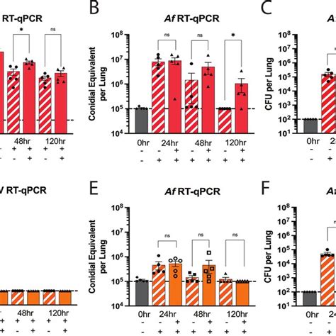 Viral And Fungal Load In The Lungs As Determined By Rt Qpcr Analysis Download Scientific