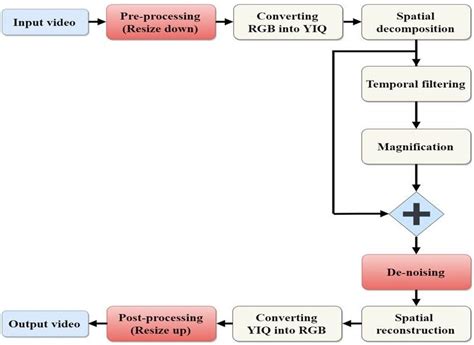 The Processing Stages Of The Developed Evm Model Download Scientific Diagram