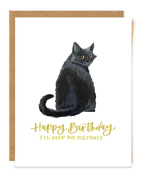 Black Cat Happy Birthday Funny Black Cat With Text Happy Birthday In