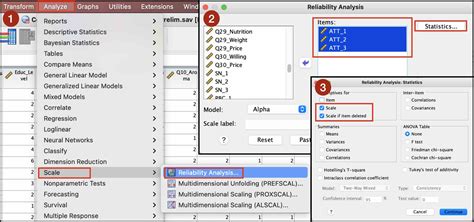 How To Compute For Cronbach S Alpha In SPSS