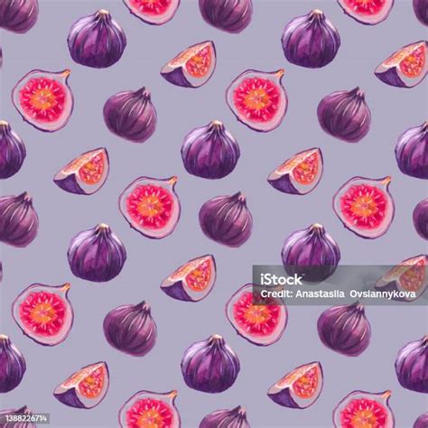 보라색 무화과의 수채화 원활한 패턴 현실적인 열대 과일 디지털 종이 0명에 대한 스톡 벡터 아트 및 기타 이미지 0명 건강한 식생활 과일 Istock