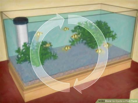 How To Cycle A Fish Tank With Pictures Wikihow