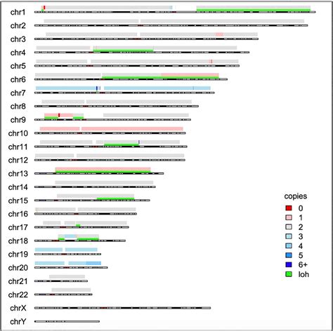 Figure From CNViz An R Shiny Application For Interactive Copy Number Variant Visualization In