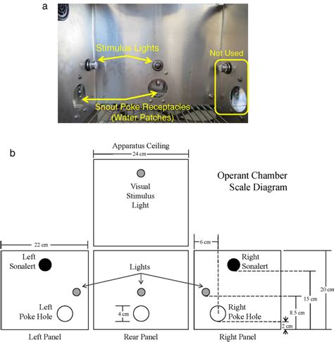 Illustration Of The Operant Chamber Used To Measure Performance In The Download Scientific