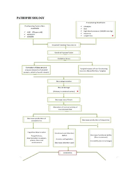 Dementia Pathophysiology 2 Pdf