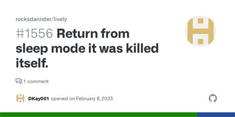 Return From Sleep Mode It Was Killed Itself · Issue 1556 · Rocksdanisterlively · Github