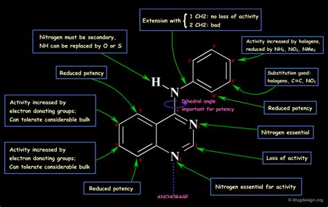 Structure Activity Relationships Drug Design Org