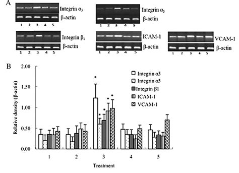 Molecular Medicine Reports