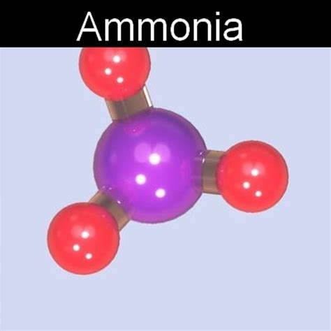 3d Molecule Ammonia