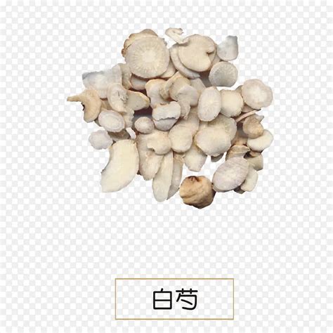 白芍PNG图片素材下载 图片编号ykavewxy 免抠素材网