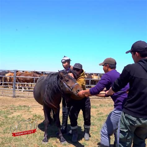 Хүнийг харах юмтай Хариад ярих юмтай явуулах хэрэгтэй 🤗 Youtube