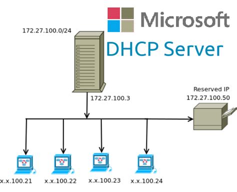 Dhcp Server Scope Options Ekleme Techknowlojist