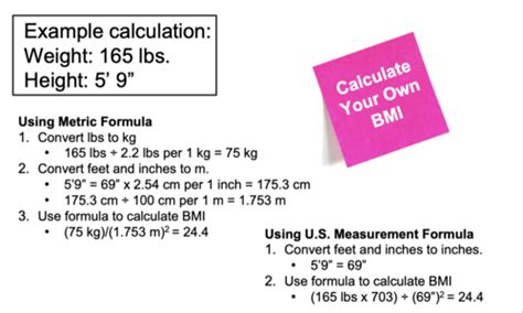 Exam 4 Flashcards Quizlet