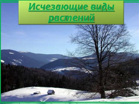 Исчезающие виды растений презентация онлайн