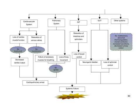 Schematic Pathophysiology Cva Doc