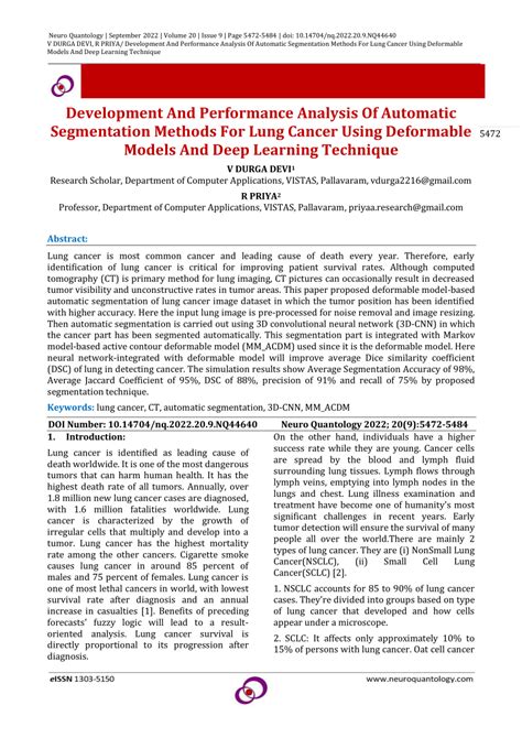 pdf development and performance analysis of automatic segmentation