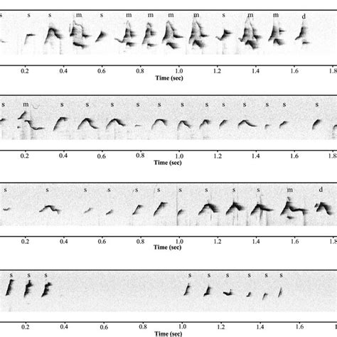 Detailed Spectral Features Calculated By Matlab® Software Duration