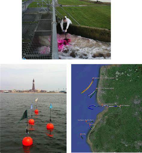 Tracers Releasing Processes And Field Monitoring Positions Download